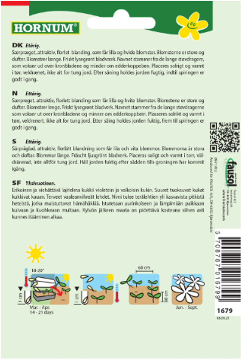 Edderkopp-plante Mix 'Spider' | Høy kvalitet | Fri frakt over 1400kr